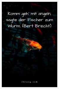 Tauche mit diesen 150 Fische-Sprüchen in die Wasserwelt ein!